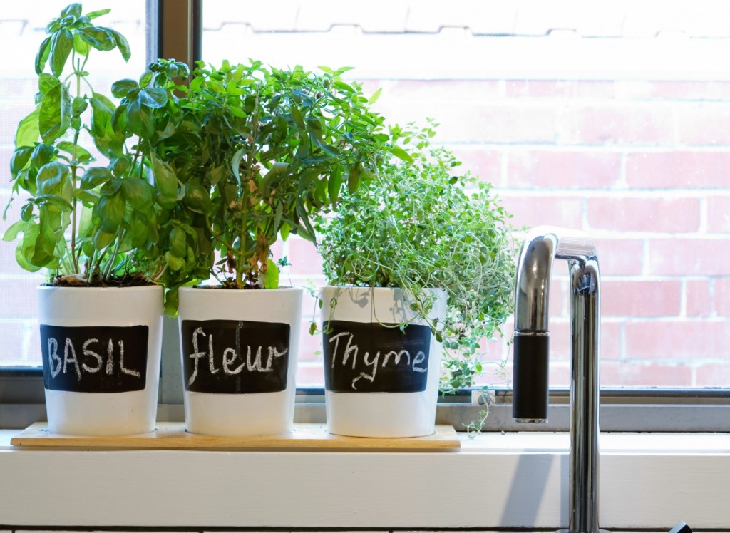 6 Ways to Style Fresh Herbs in Your Kitchen - The Plumbette