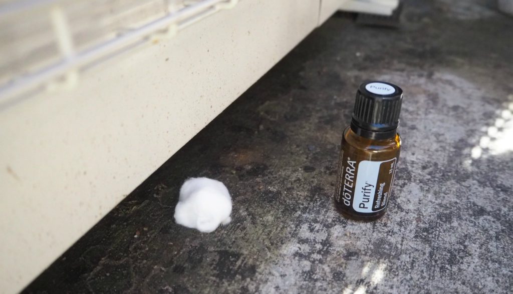 What I'm Trialing to Keep Mice Out of my Air Conditioning Unit - The ...