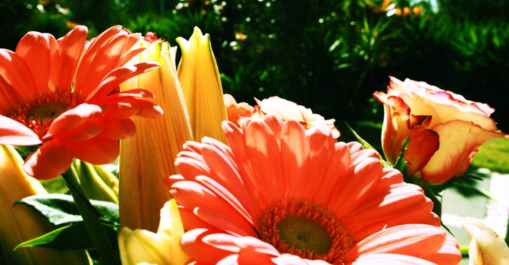 August is Now a Memory, Spring is Going to be Fun