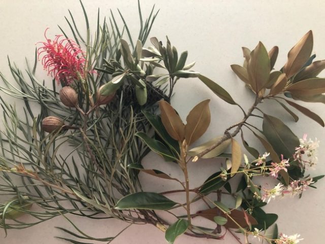 Make Your Own Australian Native Flower Arrangement - The Plumbette