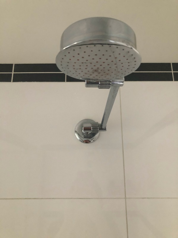 Cleaned shower rose - The Plumbette