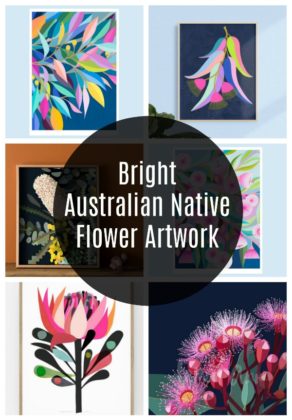 Bright Australian Native Flower Artwork - The Plumbette