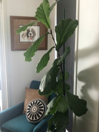 Upcycle Your Shower Bath Base Into A Pond - The Plumbette