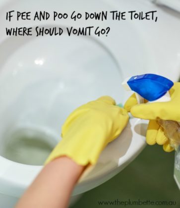 If Pee And Poo Go Down The Toilet, Where Does Vomit Go? - The Plumbette