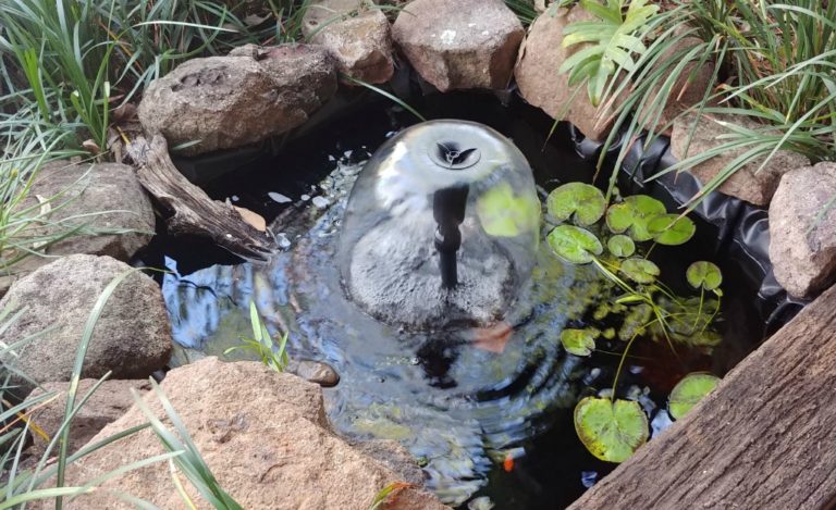 Upcycle Your Shower Bath Base Into A Pond - The Plumbette