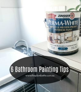 6 Bathroom Painting Tips - The Plumbette