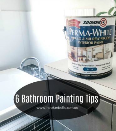 6 Bathroom Painting Tips - The Plumbette